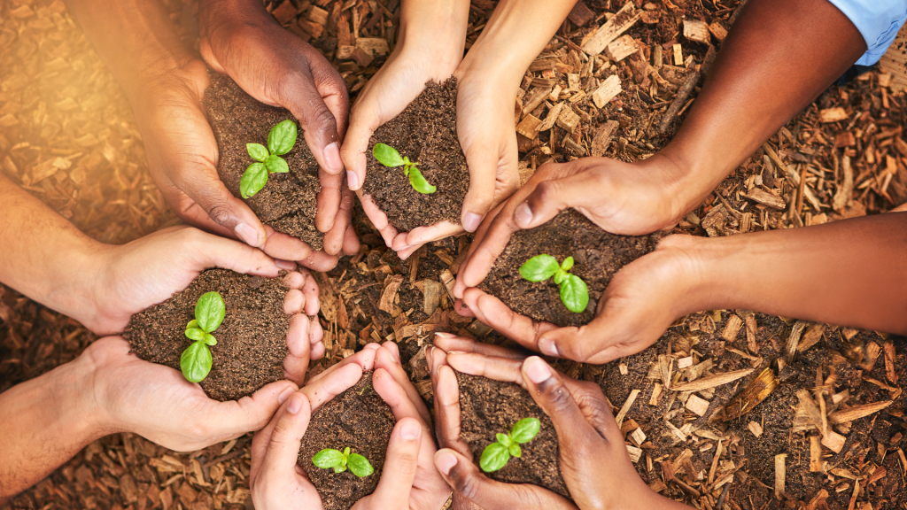 Working together as a school for Climate Action - WWF Singapore eLearning