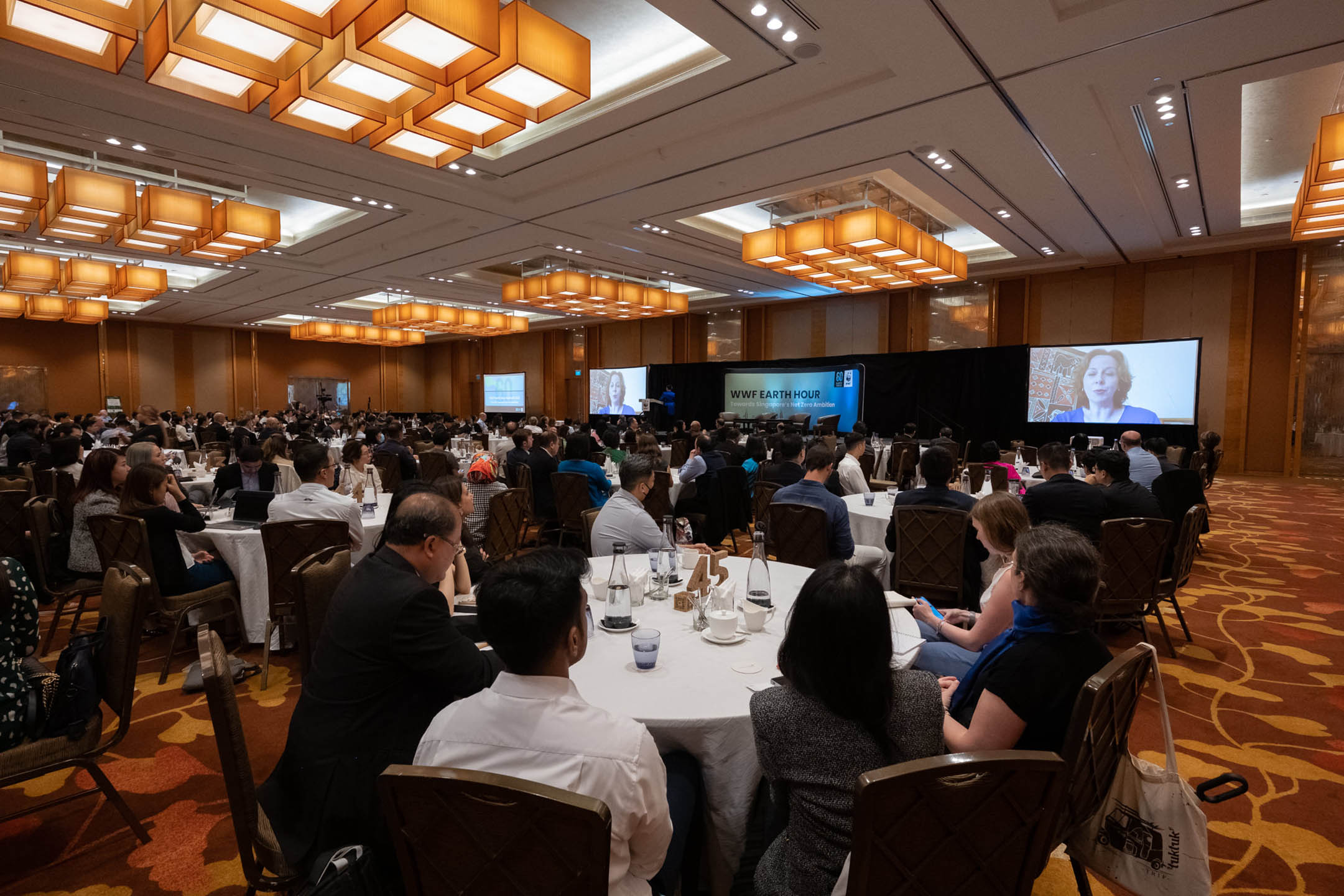 WWF Singapore Earth Hour | Summit 2024