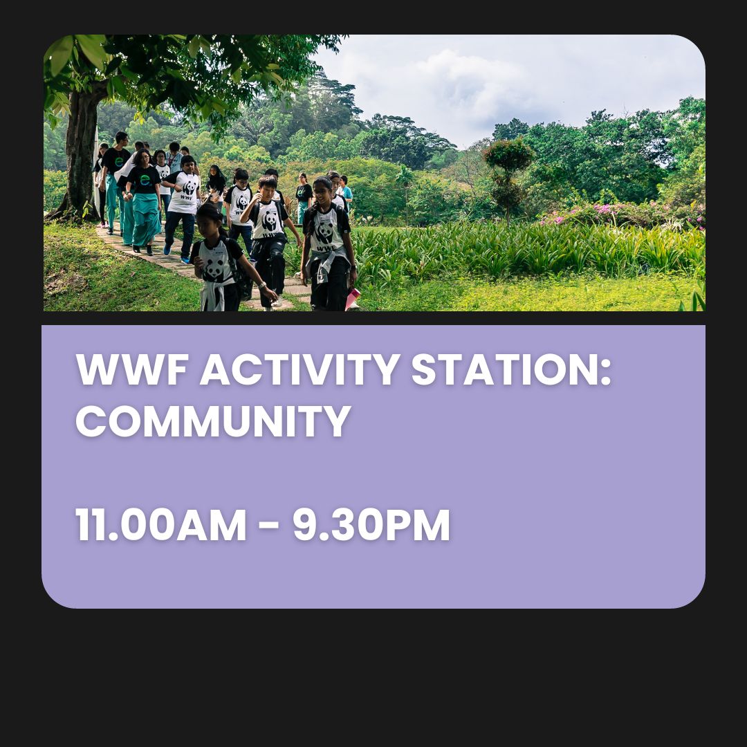 WWF Singapore Earth Hour | Festival Happenings