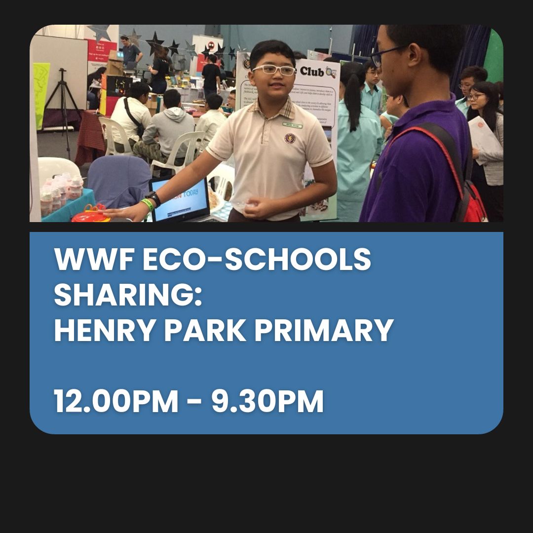 WWF Singapore Earth Hour | Festival Happenings