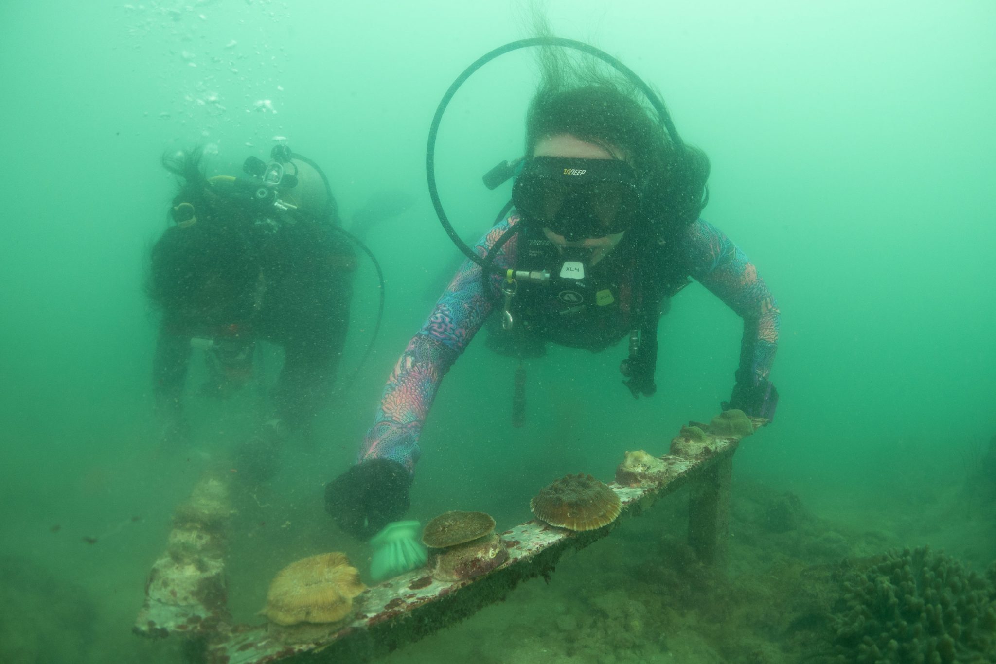 Coral Restoration - Humans of Nature