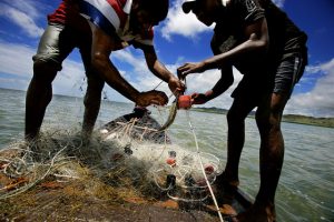 Making fishing sustainable - WWF-Singapore