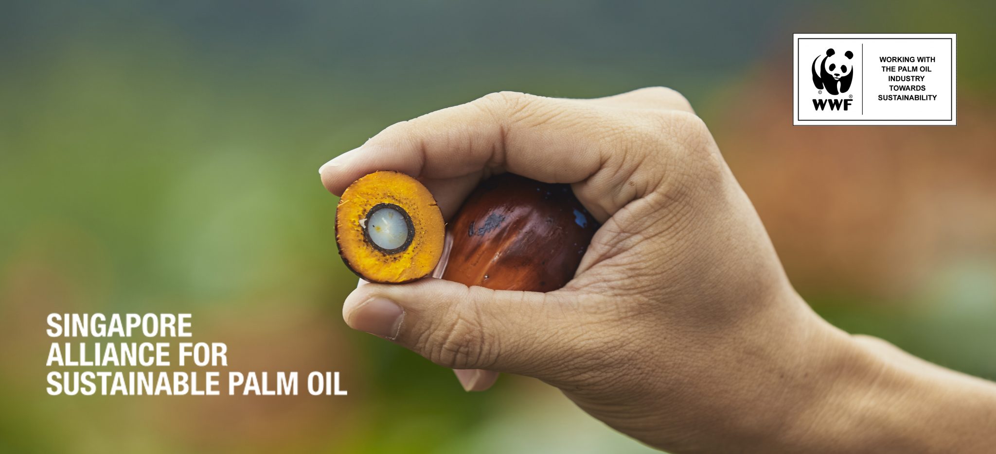 Singapore companies form alliance to tackle haze pollution and ...