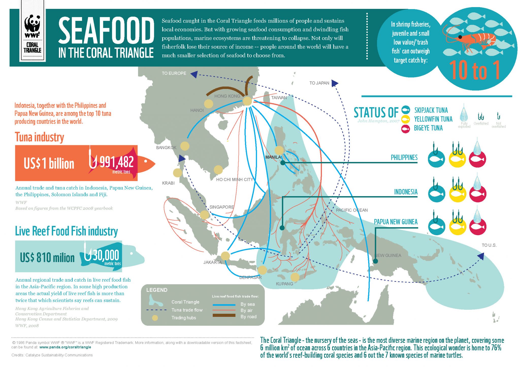 INFOGRAPHIC: Seafood in the Coral Triangle - WWF Singapore