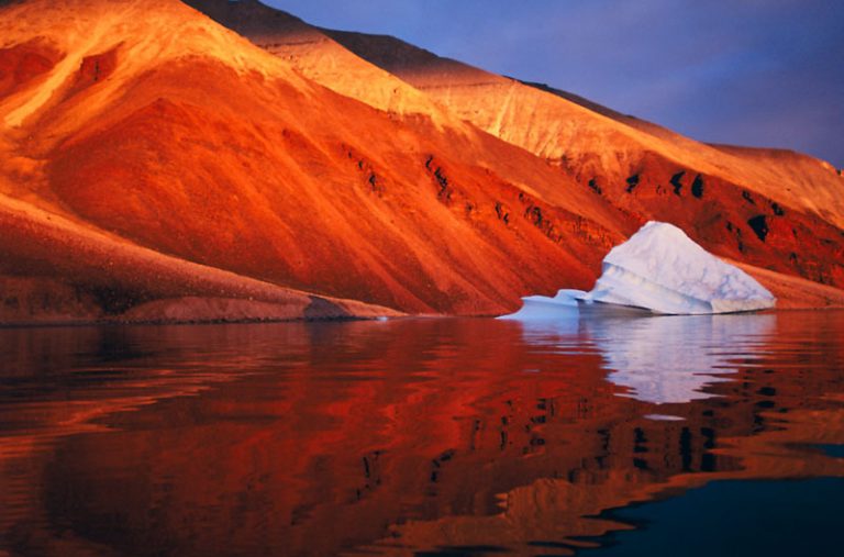 Saving the Arctic - WWF-Singapore