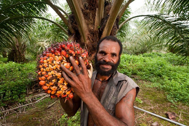 Sustainable palm oil milestone reached ahead of major WWF evaluation ...