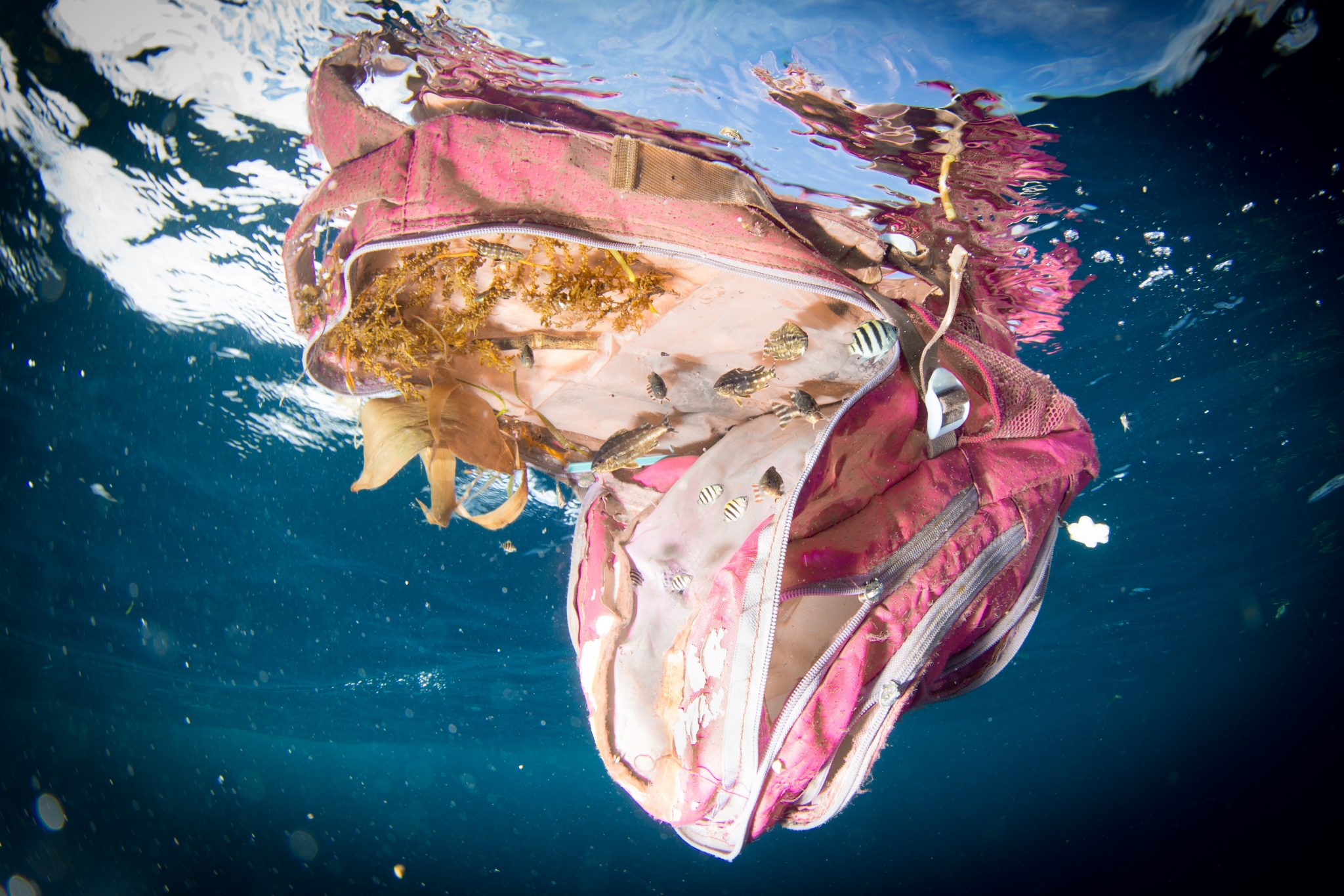 Momentum building behind global treaty to combat marine plastic ...