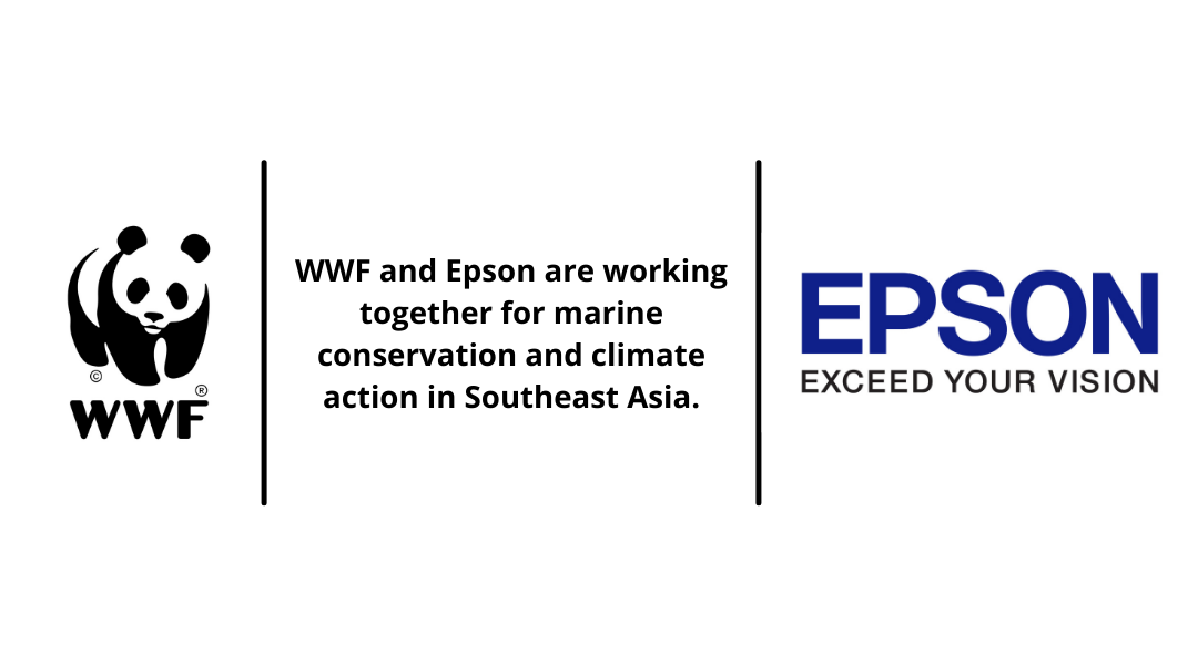 Epson partners with WWF to scale up marine restoration impact and ...