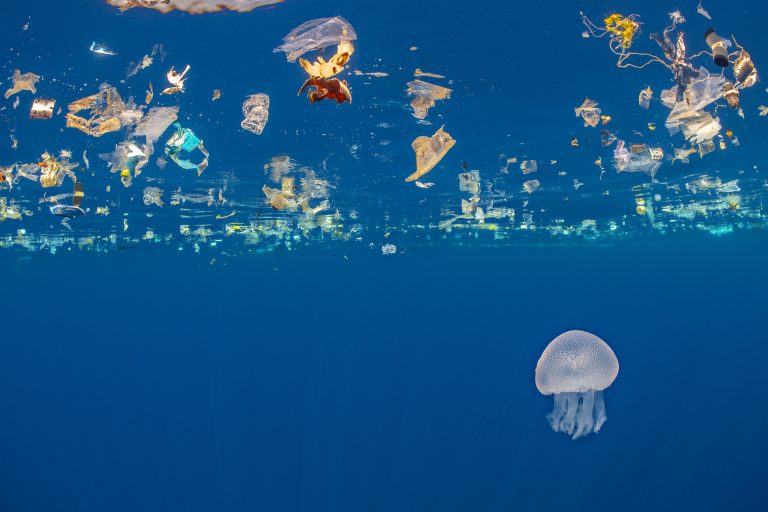 WWF-Singapore | Freshwater
