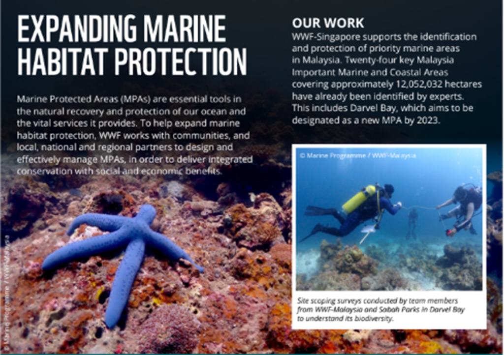 WWF Singapore | Marine Conservation