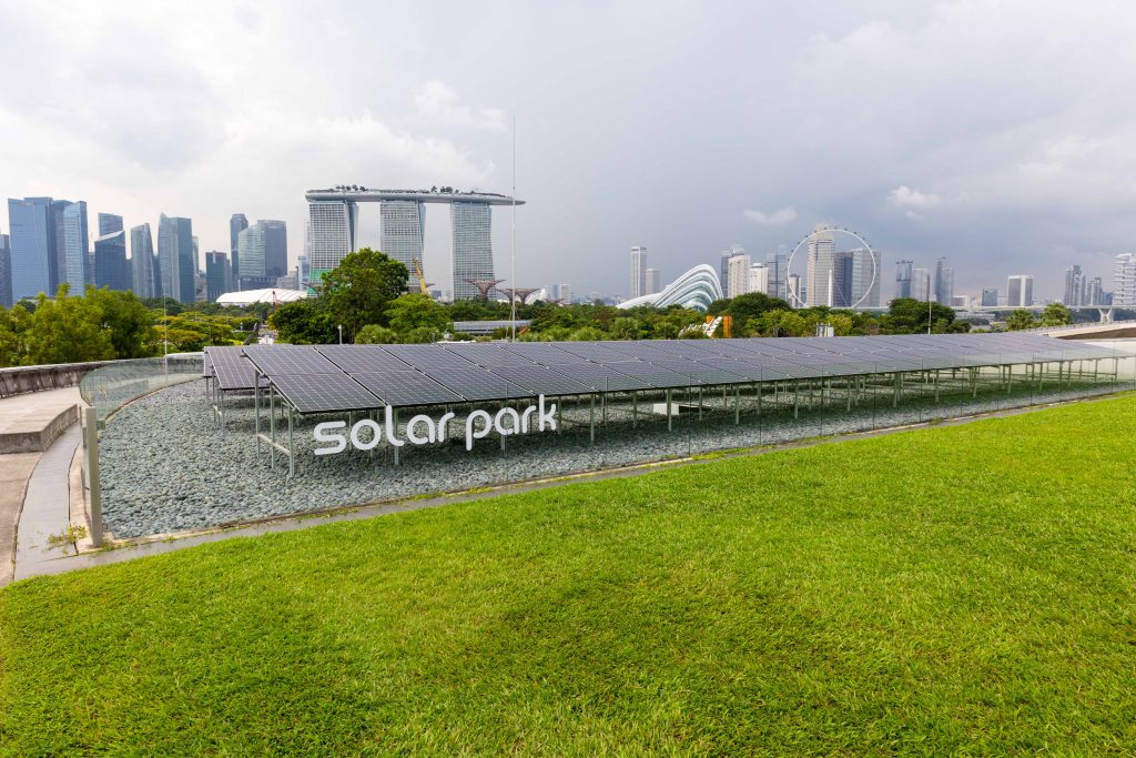 WWF Singapore | WWF National Competition