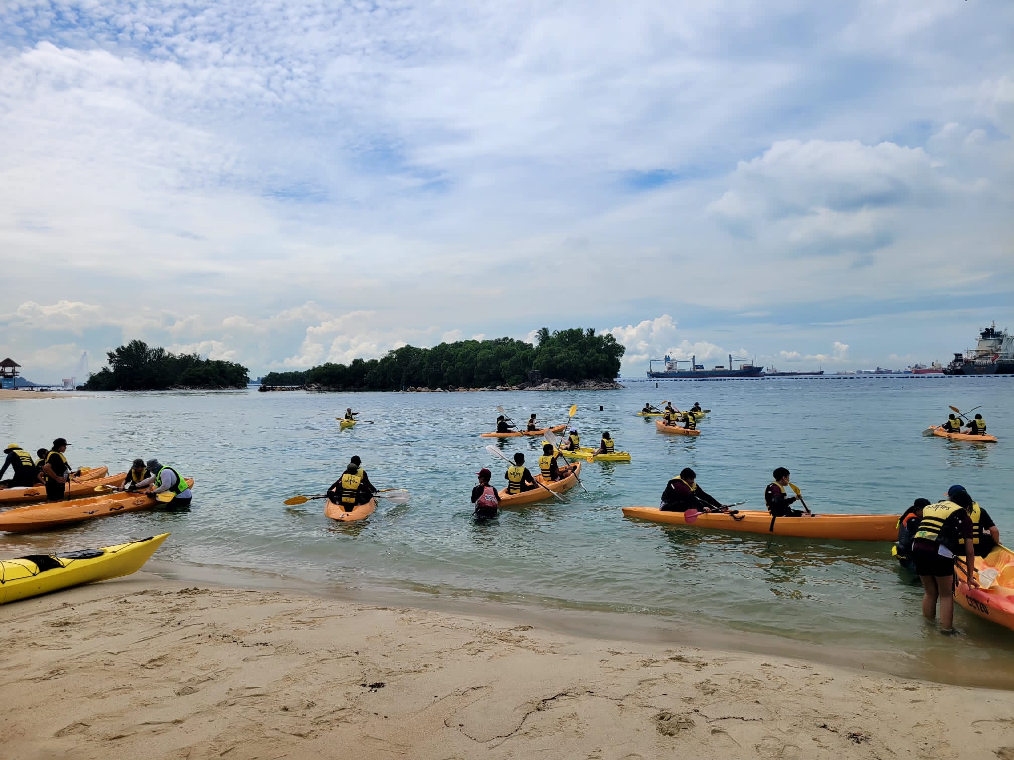 WWF Singapore | WWF National Competition