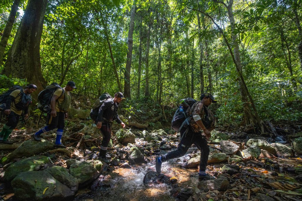 WWF-Singapore | Escape Room