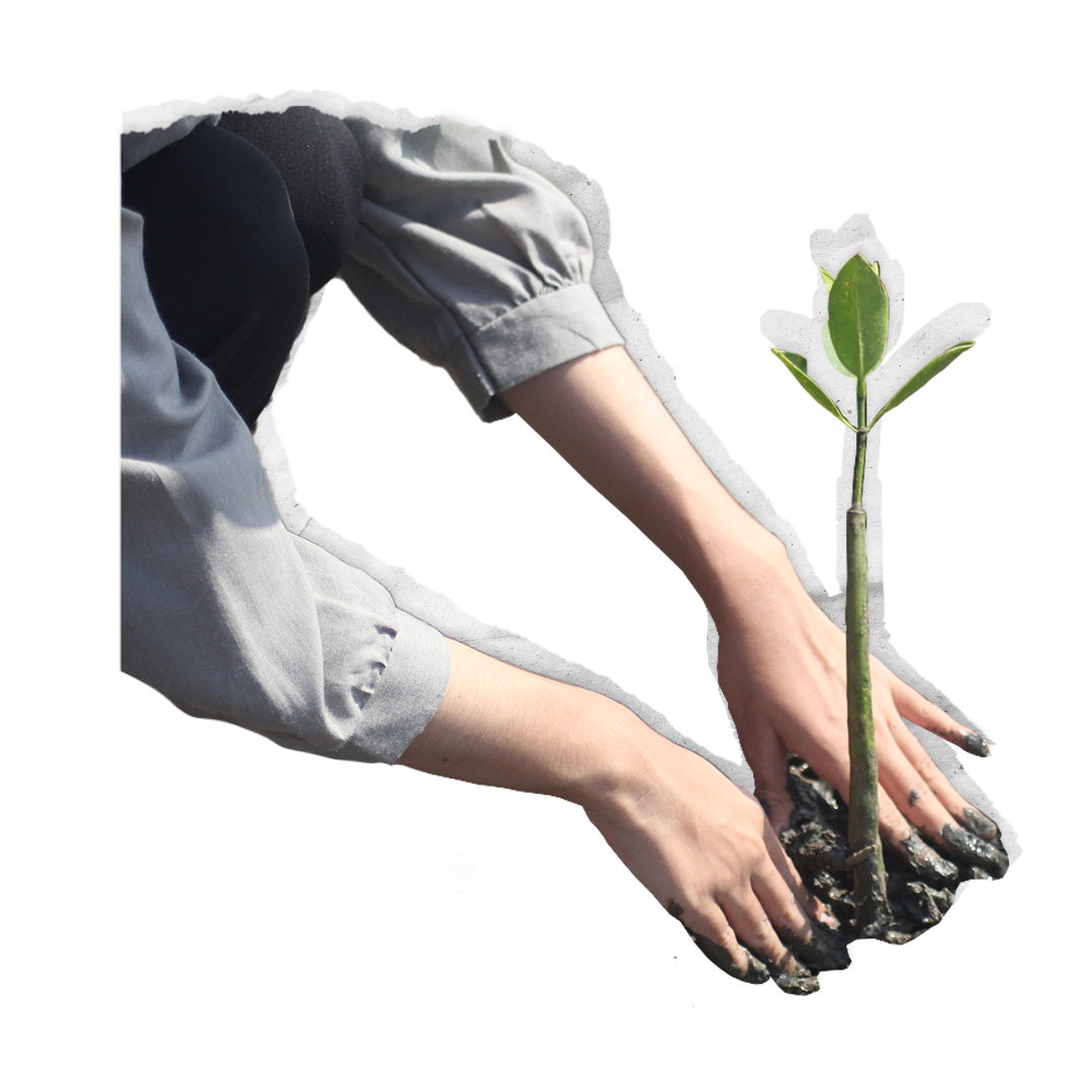 WWF-Singapore | Conserve Our Wetlands