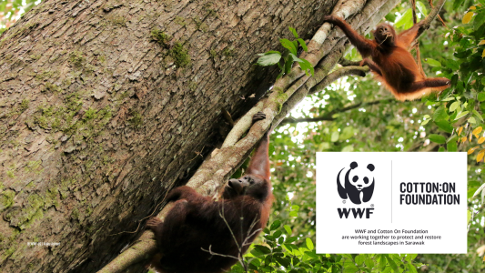 Cotton On Foundation | WWF-Singapore