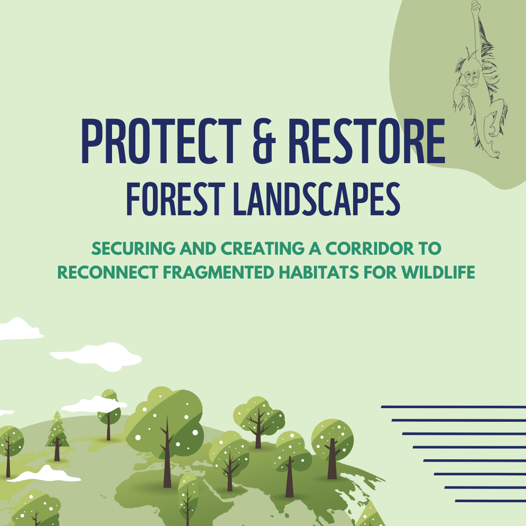 Cotton On Foundation | WWF-Singapore