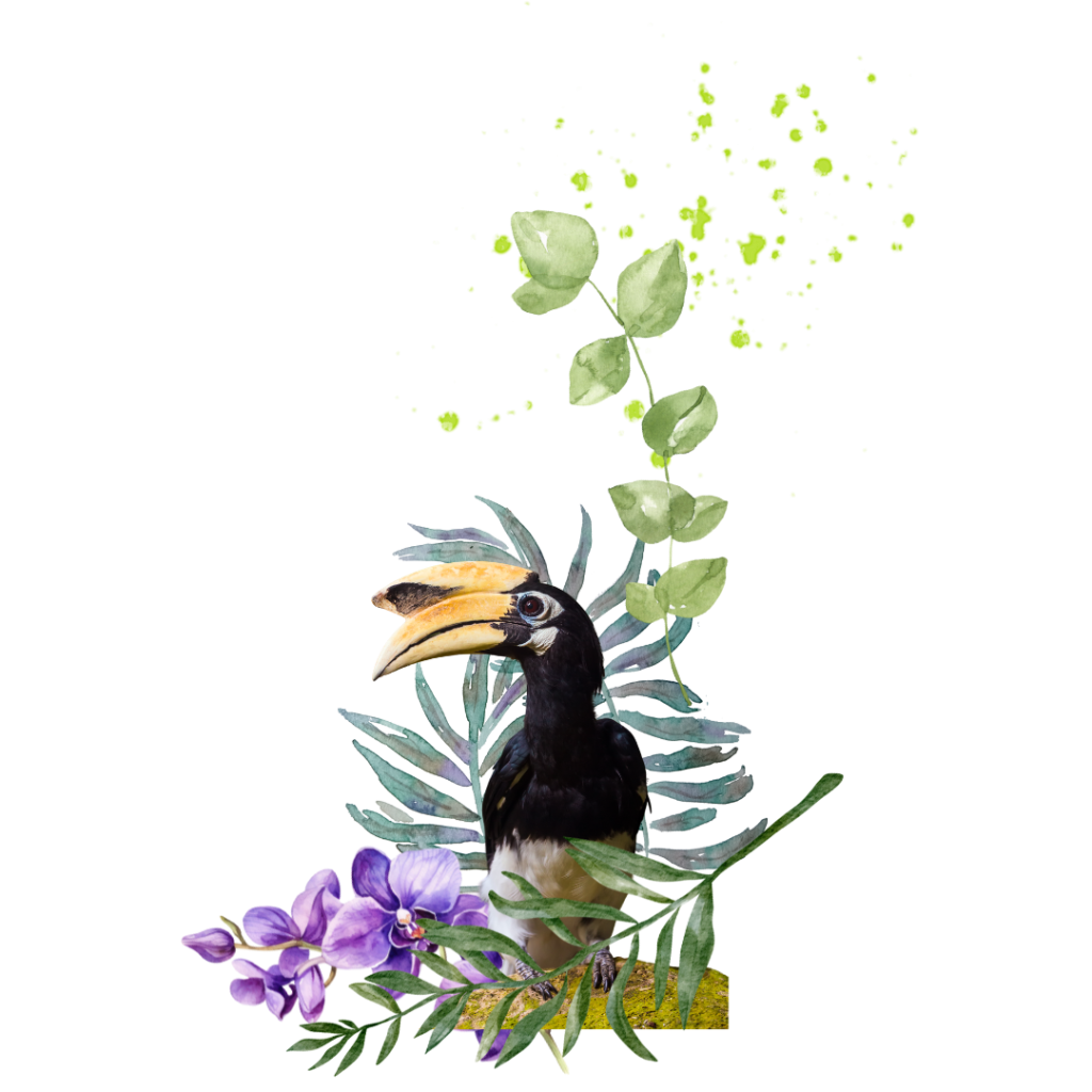 WWF-Singapore | Charity Dinner Feedback