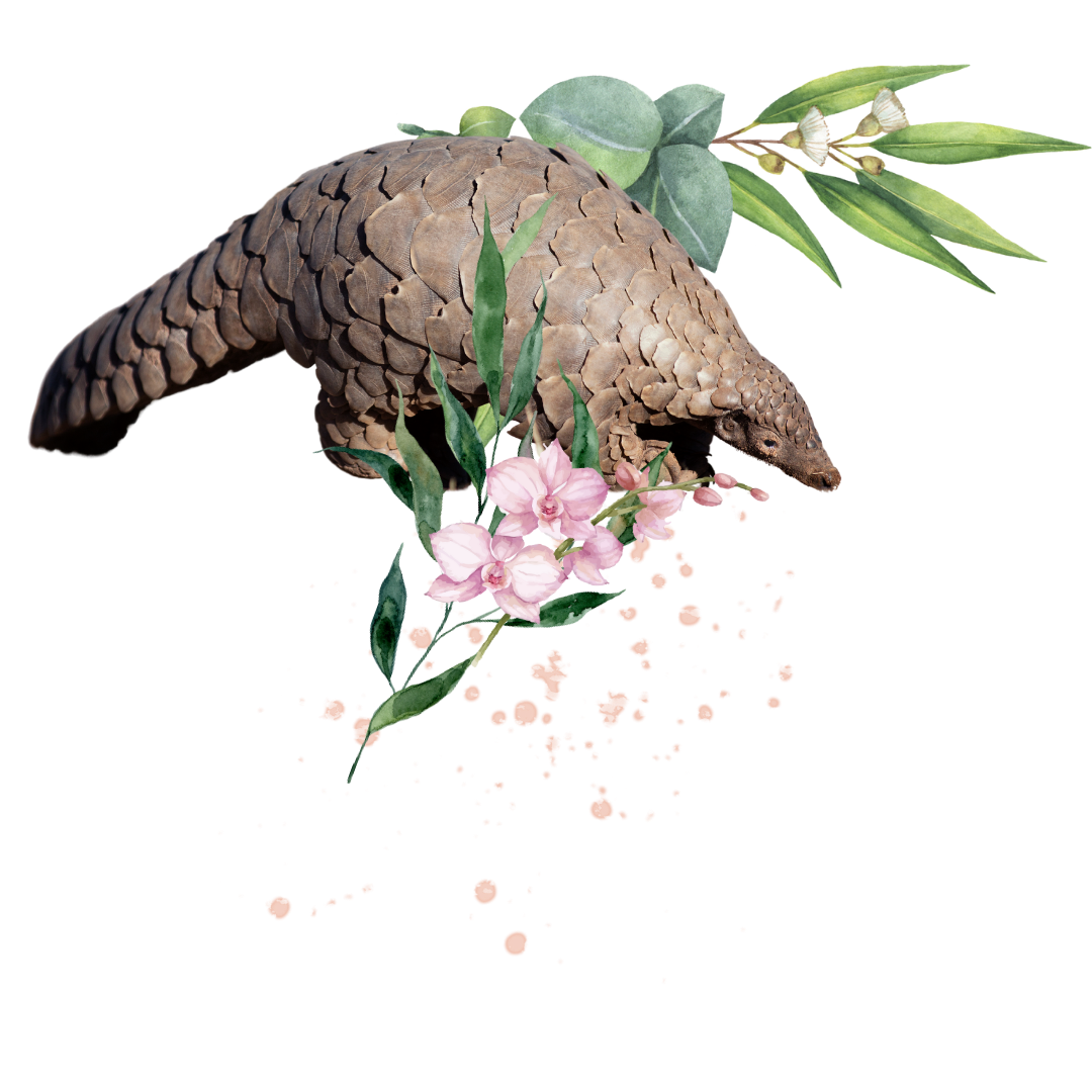 WWF-Singapore | Charity Dinner Feedback