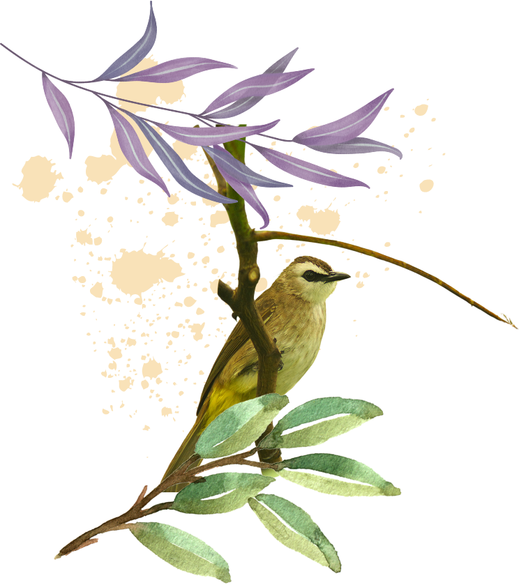 WWF-Singapore | Charity Dinner Feedback