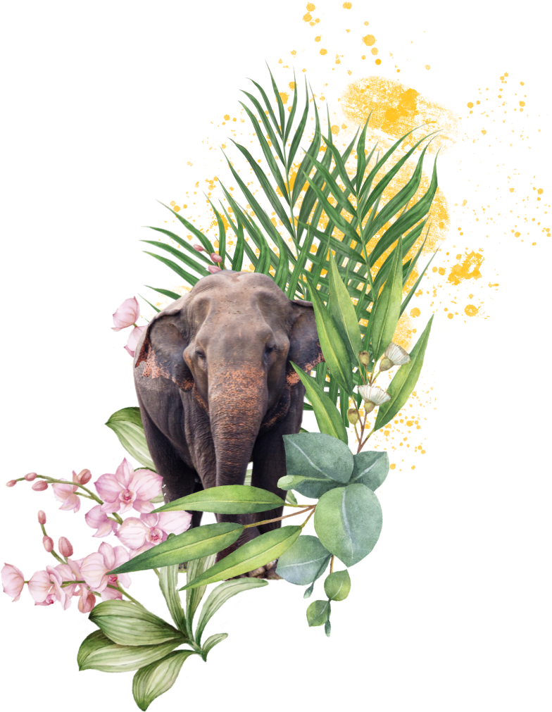 WWF-Singapore | Charity Dinner Feedback