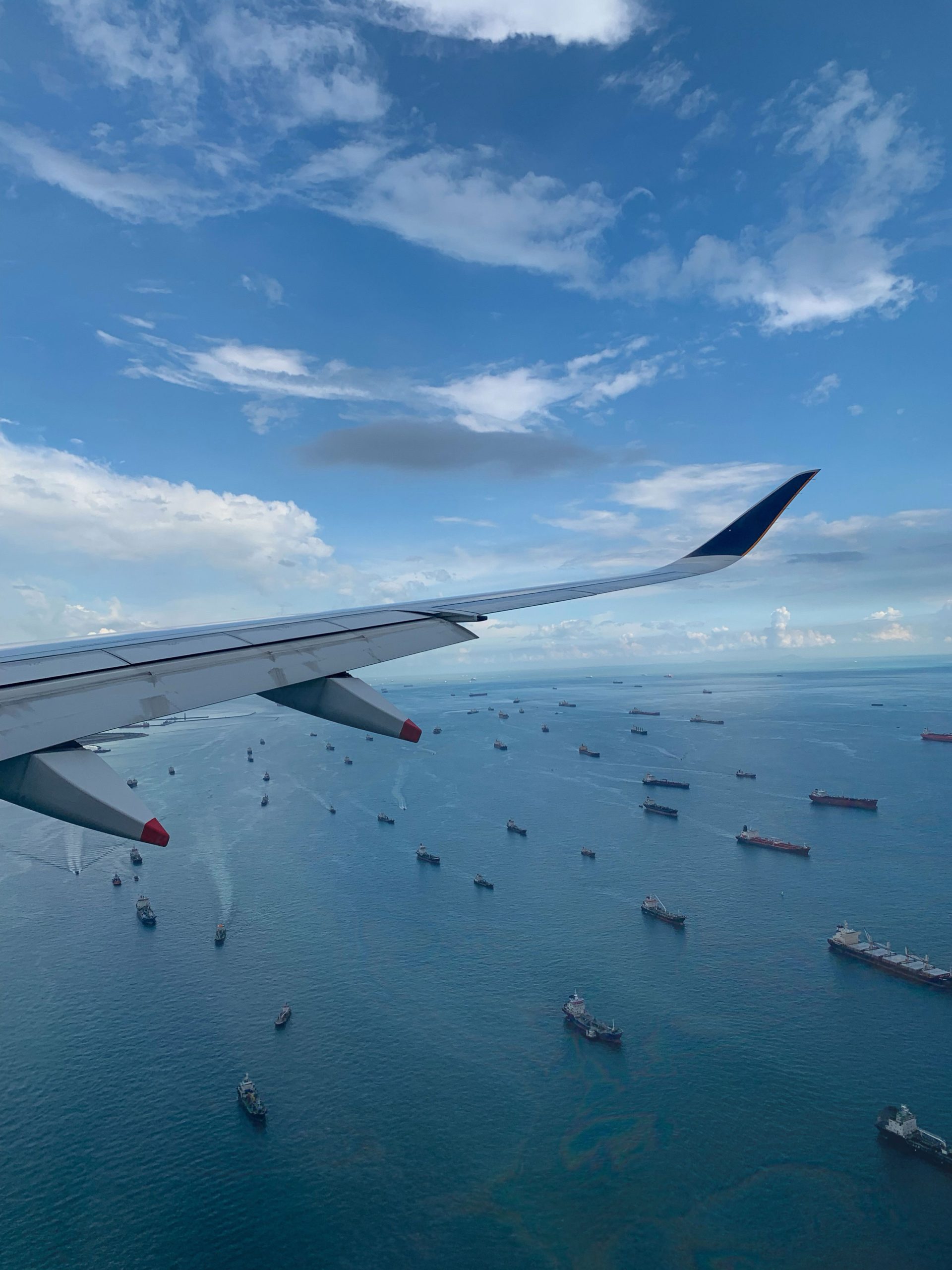 WWF-Singapore | WWF National Competition