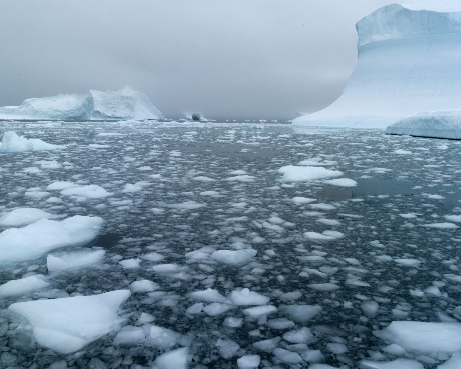 WWF-Singapore | WWF School Programme