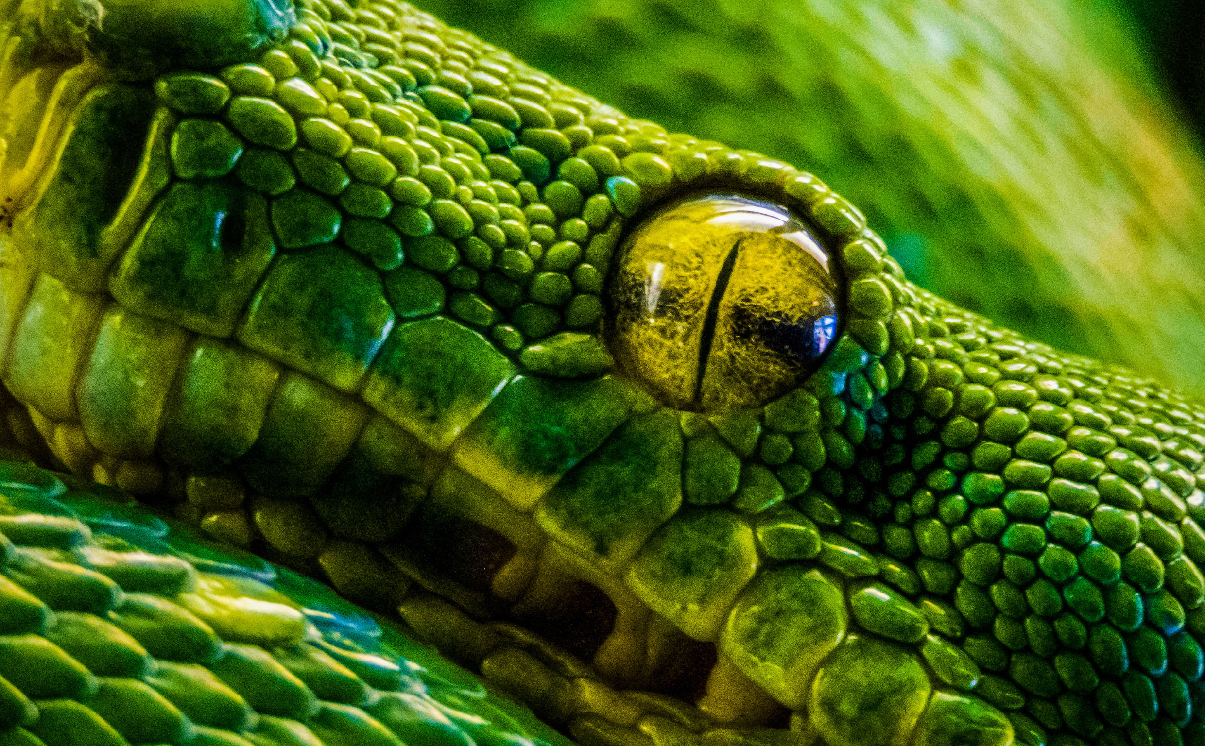 WWF Singapore | Building a Future in Harmony With Nature