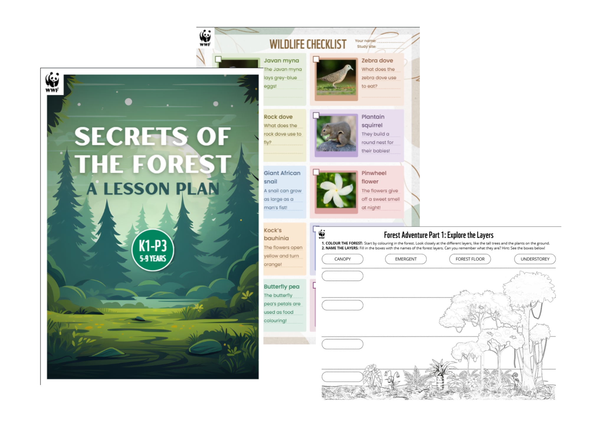 WWF-Singapore | WWF School Programme